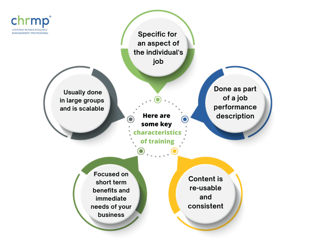 Difference Between Training And Development Comprehensive Guide