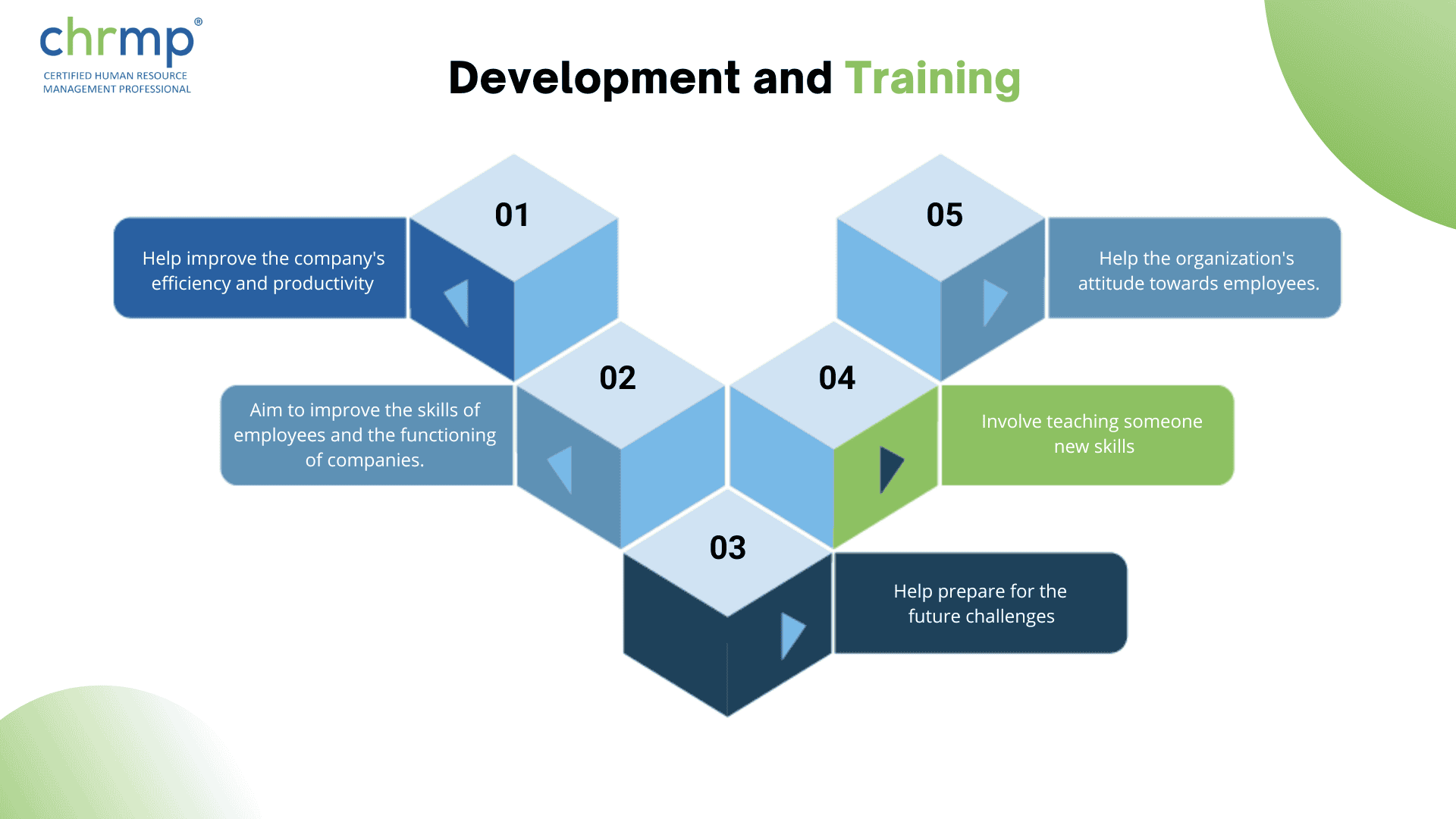 Difference Between Training And Development Comprehensive Guide