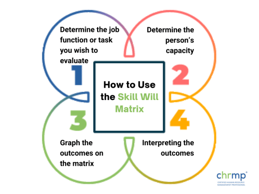 The Skill Will Matrix: A Guide+ 4 Quadrants Explained